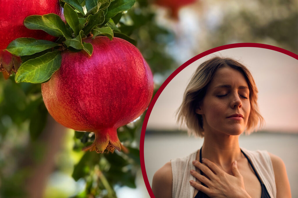 Propiedades y Beneficios de la Granada: Descubre lo que esta Fruta ...